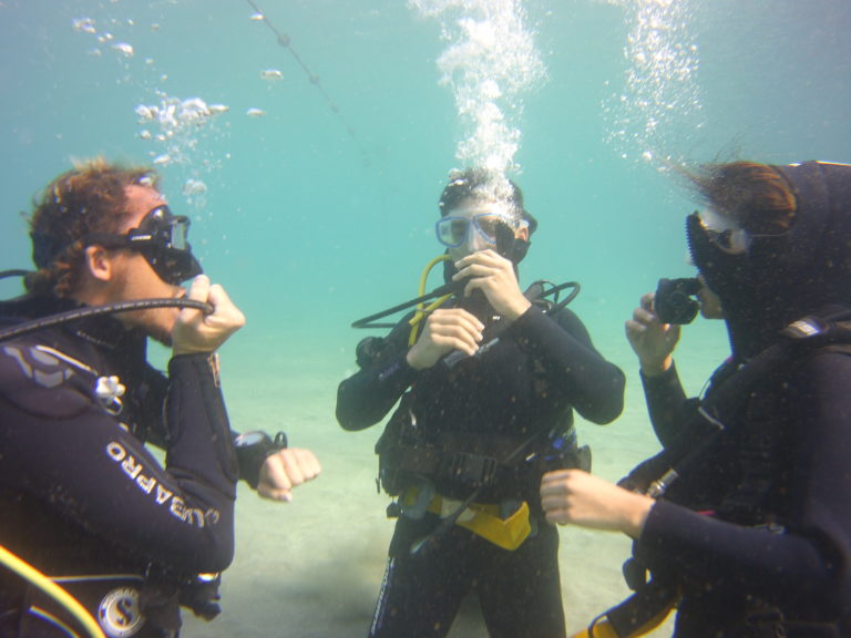 Discover Scuba Diving / Try Dive | Dive Center Tenerife